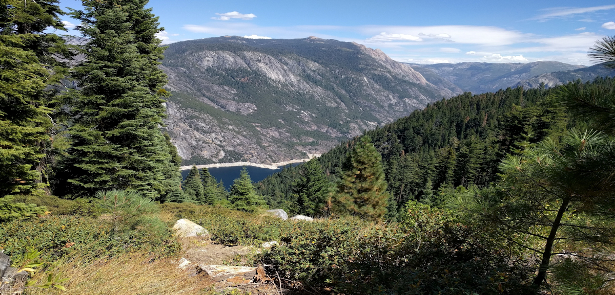 Home - Dorrington Realty